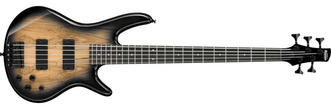 Ibanez GSR205SM NGT 5-String Bass Guitar With Bag - Natural Gray Burst ...